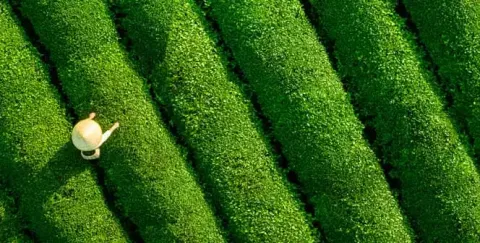 This is Bixal | Bixal